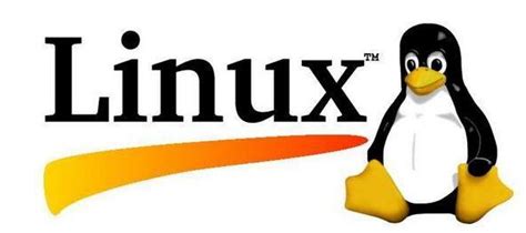 Linux C Websocket Libwebsockets