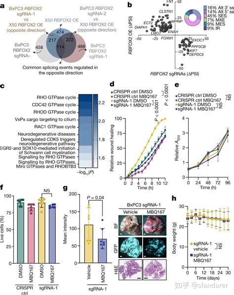 Matlab Matlab Nature