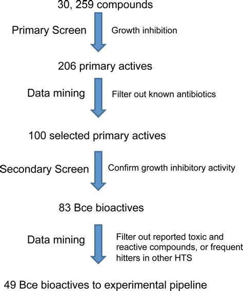 High Throughput Screening And Compound Prioritization Process Steps Download Scientific