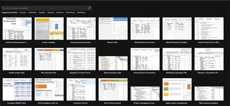 Using Microsoft Project