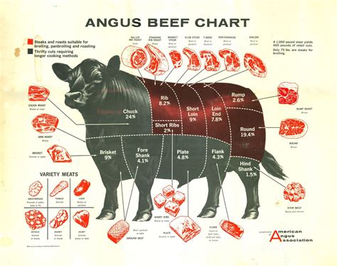 Printable Beef Cuts Chart Poster Free Printable Chart