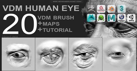 Vdm Full Human Eye Pack 30maps Rzbrush