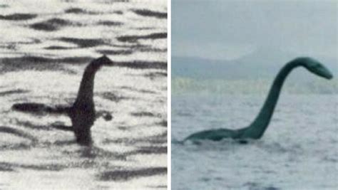 Natural History Expert David Leggett Discusses The Plesiosaur Or The