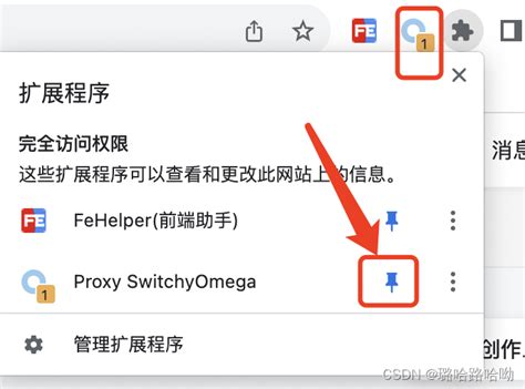 Whistleswitchyomega配置web代理whistle代理 Csdn博客