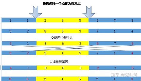遗传算法 知乎 遗传算法 知乎
