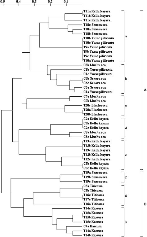 Dendrogram Based On Issr Polymorphism Of The 51 Ocas Individuals