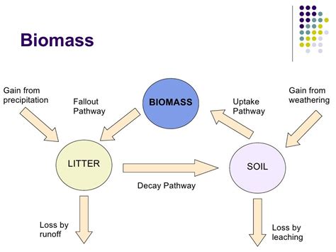 Ecosystems 3 Nutrient Cycle