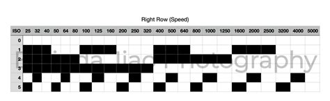 All About Dx Coding Films And Cameras — Belinda Jiao Photography