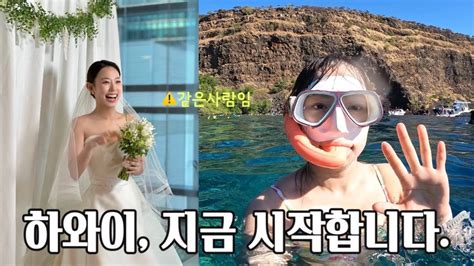 프리다이빙vlog22 드디어 끝난 결혼식 하와이 빅아일랜드 Youtube