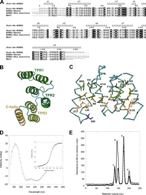 Identification Of A Tpr Motif In The N Terminal Region Of Mps1 A Download Scientific Diagram