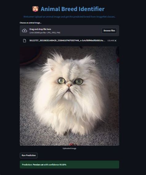 Deeplearning Pytorch Machinelearning Streamlit Webapp Ai