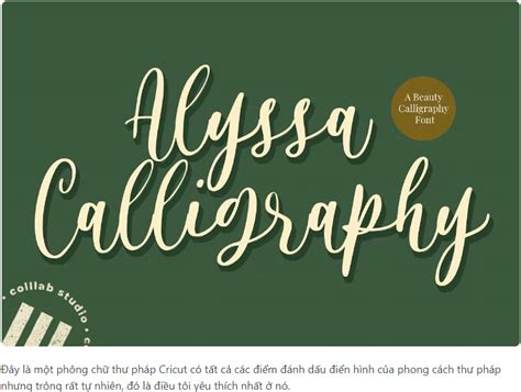 T I Font Ch P Mi N Ph Tr I Nghi M Ngay T Ng T Nh Th M M Ch A Ph C Hu