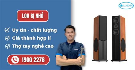 Tổng Hợp Các Nguyên Nhân Và Cách Khắc Phục Loa Bị Nhỏ