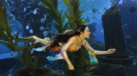 Beautiful Underwater Mermaid Vision水下美人魚唯美視覺 Youtube