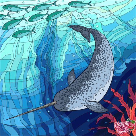 Narwhal By Jessieschutter On Deviantart