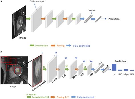 frontiers deep learning for cardiac image segmentation a review
