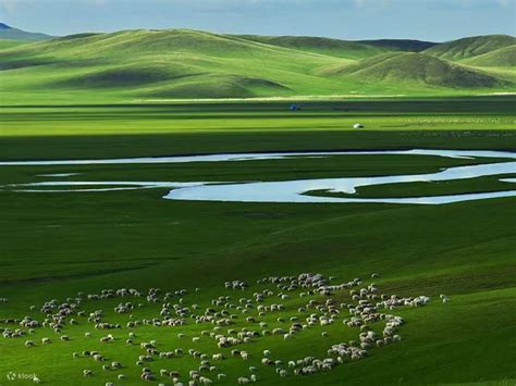 6 Day Mongolian Grassland Tour Klook Philippines