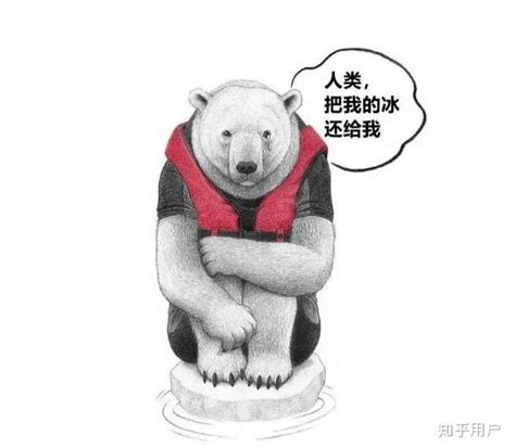 关于保护野生动物的英语单词及句子有哪些？ 知乎