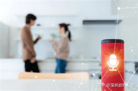 Esp Rtc音视频通信方案，智能音箱的新选择，esp32 S3无线技术应用 知乎
