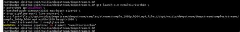 Deepstream Lacks The Gst Nvmultiurisrcbin Alpha Plugin DeepStream SDK NVIDIA Developer