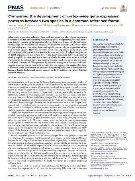 Pdf Comparing The Development Of Cortex Wide Gene Expression Patterns