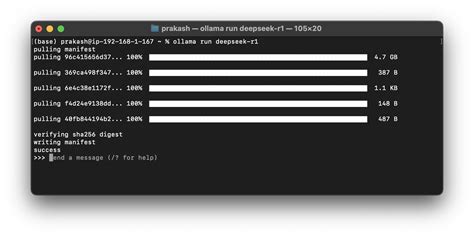 building a local ai chatbot with ollama deepseek r1 and open webui