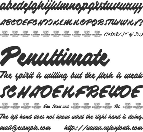 Raspberry Script Personal Use Font Download Free For Desktop And Webfont Raspberry Script Personal Use Font Download Free For Desktop And Webfont