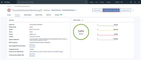 Setup Oc Cli Openshift 101 Workshop