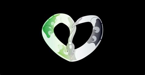 Ball Python Heart Aro Pride Design Ball Python Posters And Art Prints TeePublic