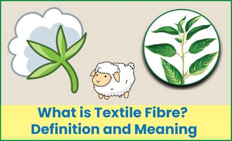 What Is Textile Fibre Definition And Meaning Textile Apex