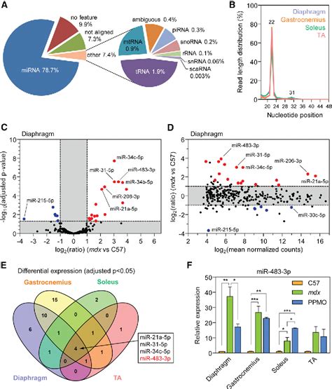 Figure From Comprehensive RNA Sequencing Analysis In Serum And Muscle Reveals Novel Small RNA