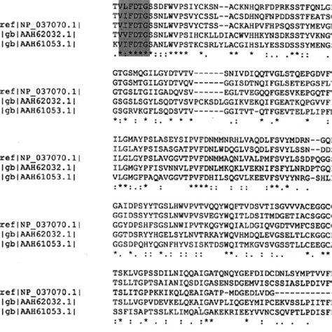 ⎯clustalw 182 Multiple Sequence Alignment Of Aspartic Proteases