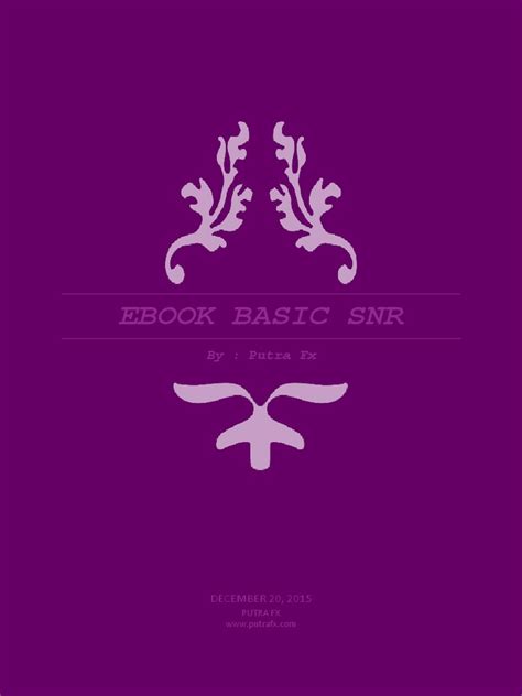 Basic Snr Pdf