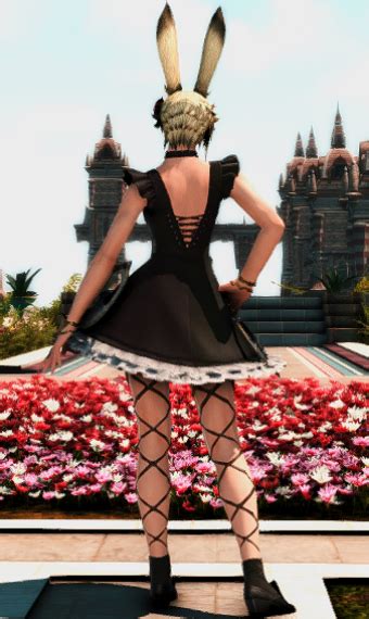Tango Dancer Eorzea Collection