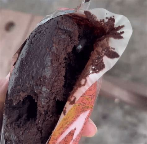 “편의점 빵 뜯자 풍뎅이 ‘꿈틀… 상품권 4만원 제시하더라” Zum 뉴스