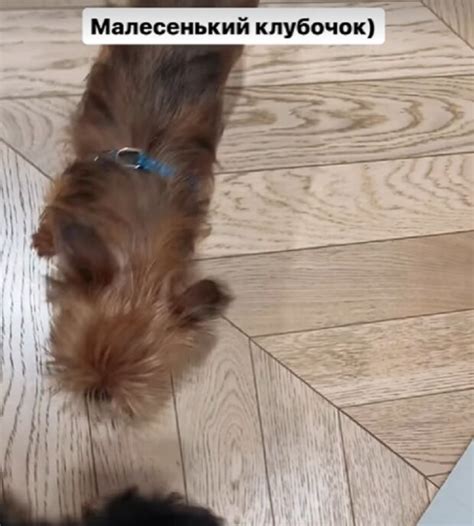 51 річний Ектор Хіменес Браво оголосив про поповнення у сімї перші фото Читайте на Ukr Net