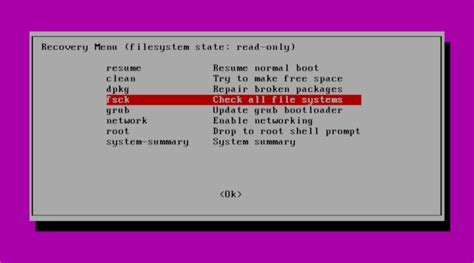 How To Use Recovery Mode On Ubuntu