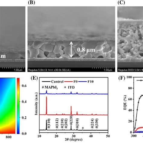 AC Crosssectional SEM Images Of The Control F0 And F10 Samples Download Scientific