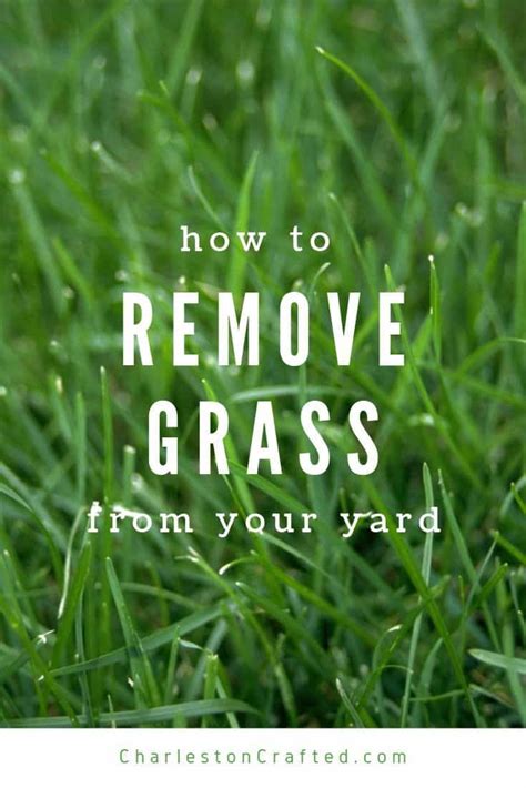 How To Remove Grass 4 Easy DIY Methods