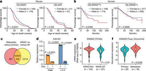 Kdm5d Is Correlated With Sex Specific Kras Crc Metastasis A