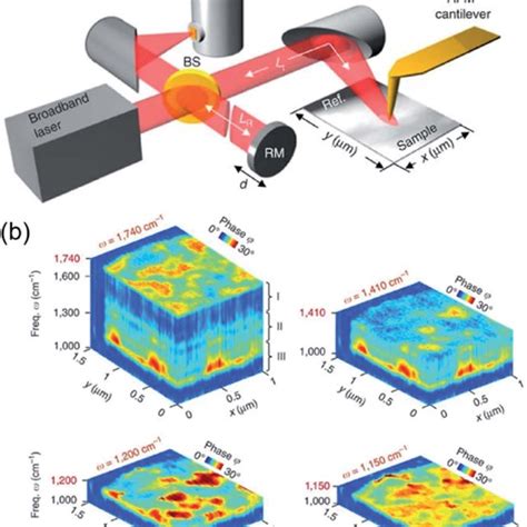 Hyperspectral Infrared Nanoimaging A Set Up Of The Instrument Download Scientific Diagram