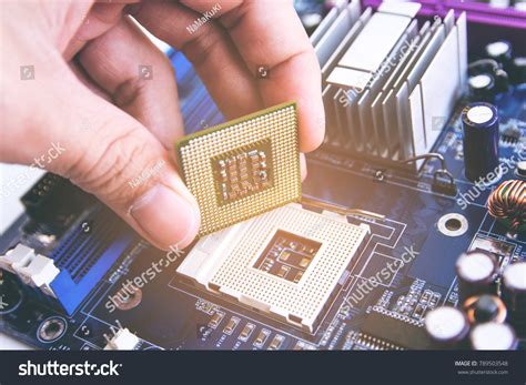 Technician Installing Cpu Chip Microprocessor Socket Stock Photo Shutterstock