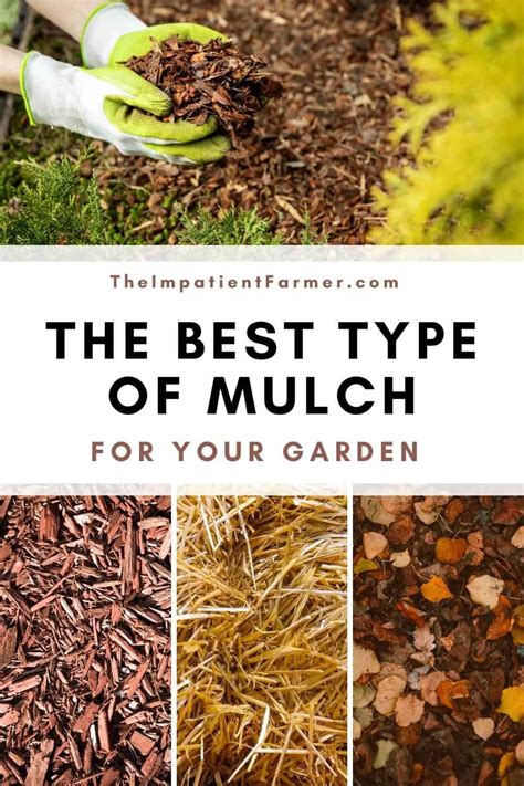 Best Mulch Forgardens At Keith Flores Blog