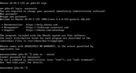 How To Access The Vm From Openstack Console On Cloudferro Cloud — Cloudferro Cloud 001