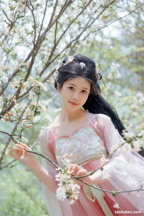 年年nnian 海棠仙[84p 342 4m] 套图岛