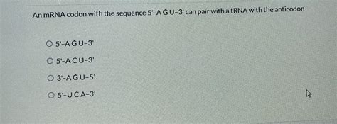 Solved The Question Is An Mrna Codon With The Sequence