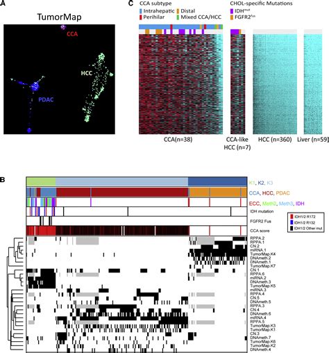 Integrative Genomic Analysis Of Cholangiocarcinoma Identifies Distinct Idh Mutant Molecular
