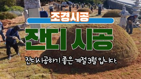 조경 잔디시공 3월 잔디심기 좋은 계절입니다 Youtube