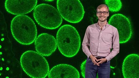 Pollens Pressure Problem Relieving Sexual Tension Through Evolution