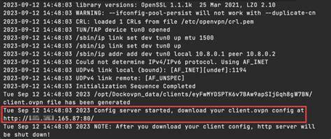How To Install Openvpn On Docker 7 Steps Phoenixnap Kb